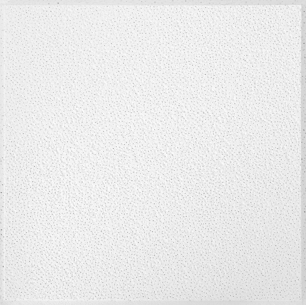 Brighton HomeStyle Ceilings Textured Paintable 2' x 2' Panel 266 by ...